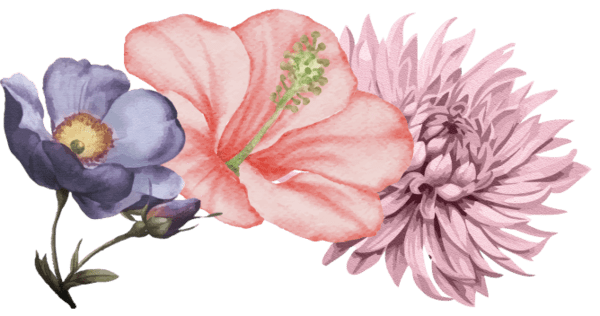 Undangan Pernikahan Jasmine & Declan